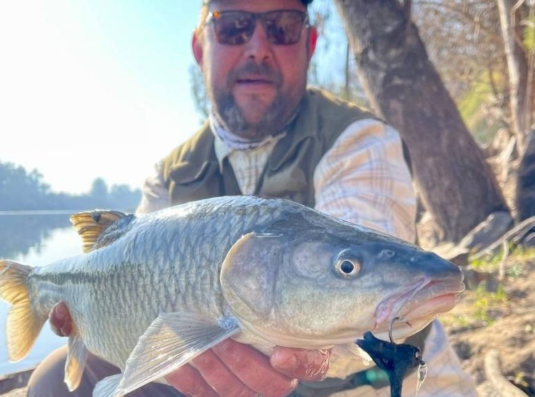 Largemouth Yellowfish Hunting on the Vaal, Potch